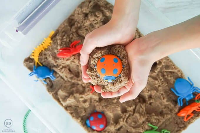 DIY Insect Sensory Bin | Simply Designing with Ashley