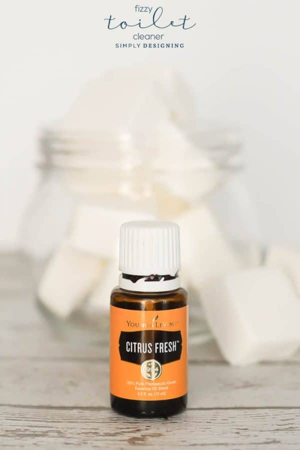 Fizzy Homemade Toilet Cleaner | Simply Designing with Ashley